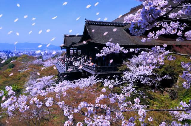 コミュニティ「awaka京都セントラル アクティブライフクリエイション」 | awaka